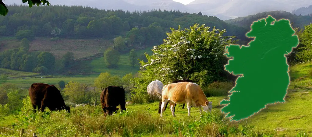 John and Jane McManus